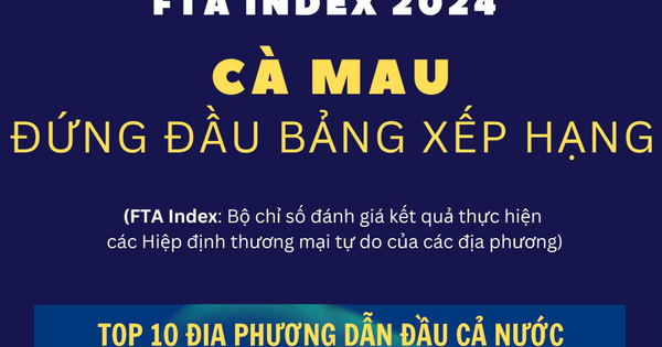Cà Mau, đứng đầu, cả nước, Bảng, xếp hạng, FTA, Index, năm 2024